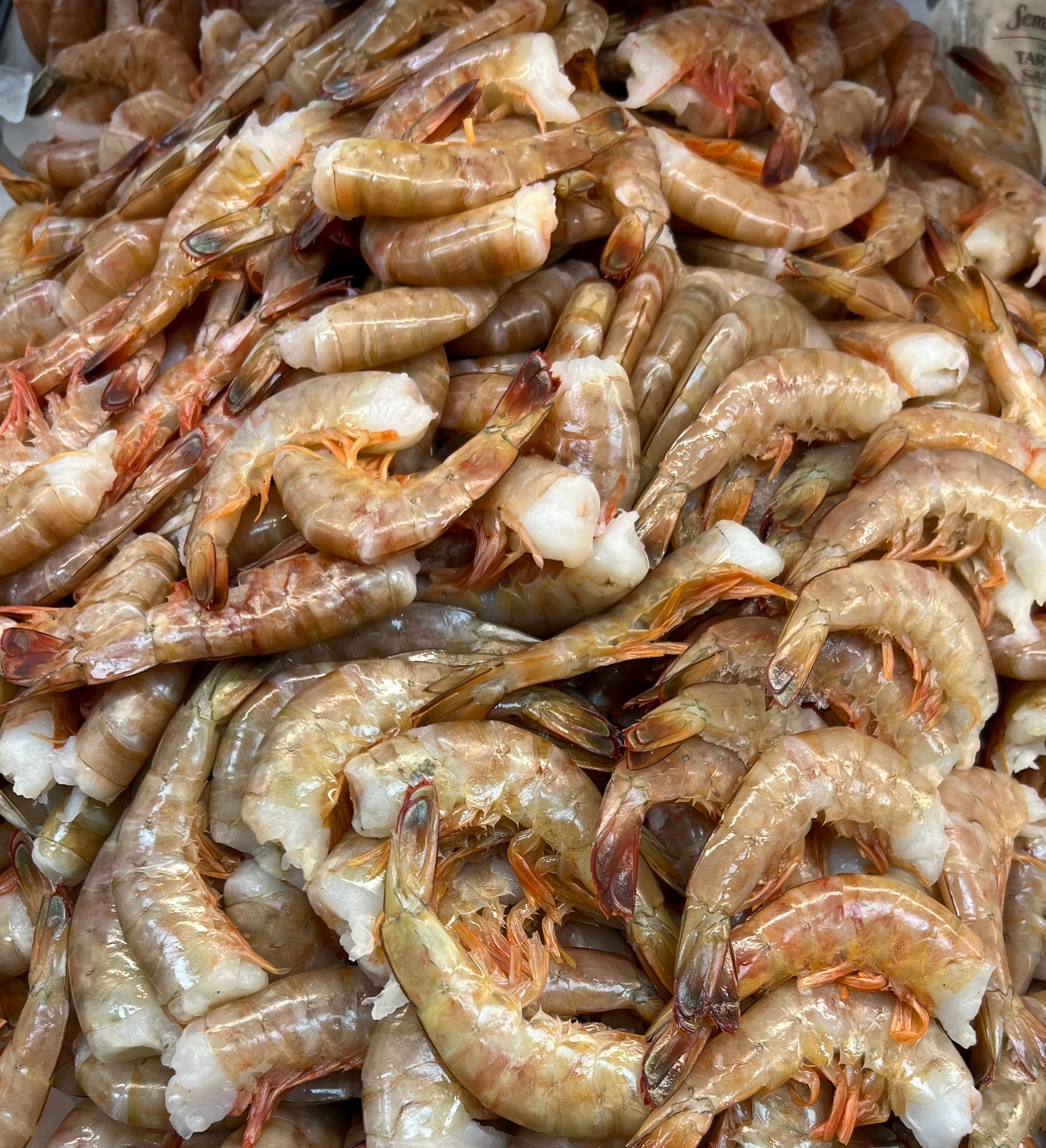 Extra Large 21-25 Shell-On Shrimp | Northwest Seafood